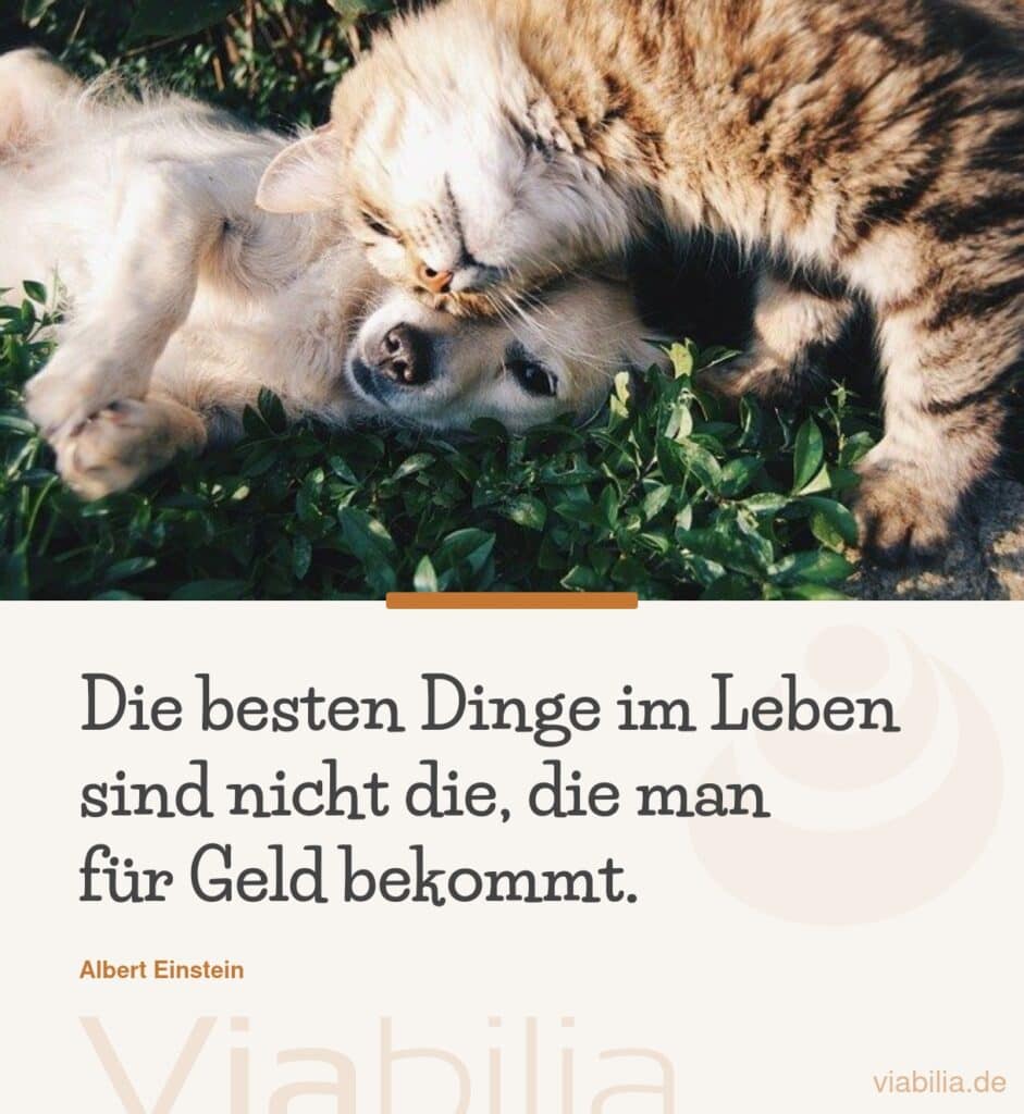 Schöne Sprüche über Geld und Reichtum