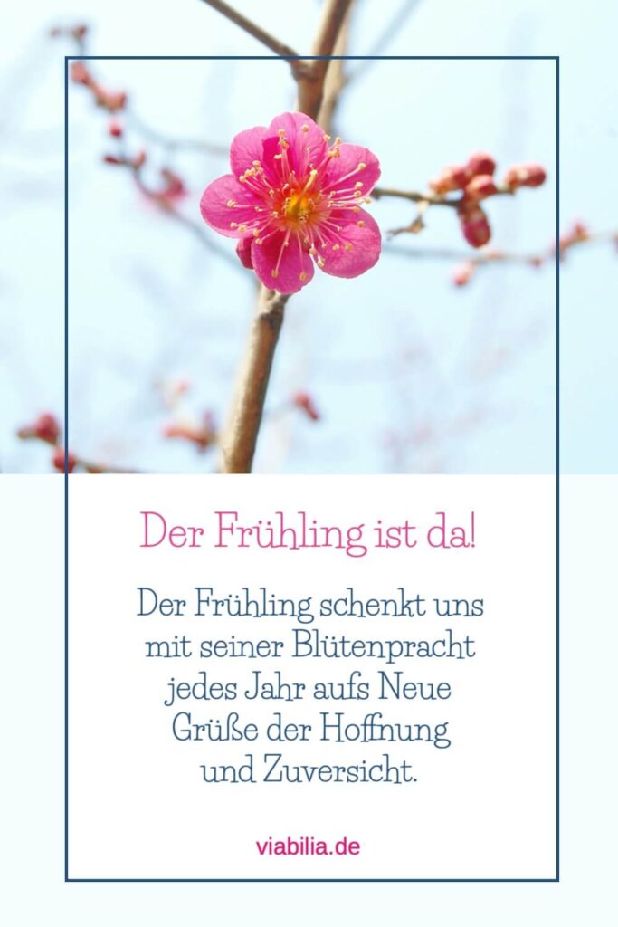 Zarte Frühlingsgrüße für WhatsApp voller Leichtigkeit