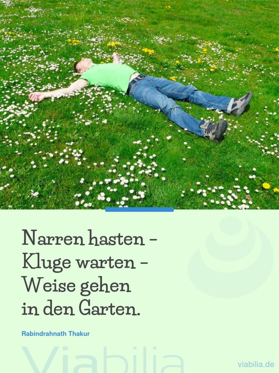 Schöne Gartensprüche mit Bildern, kostenlos zum Teilen