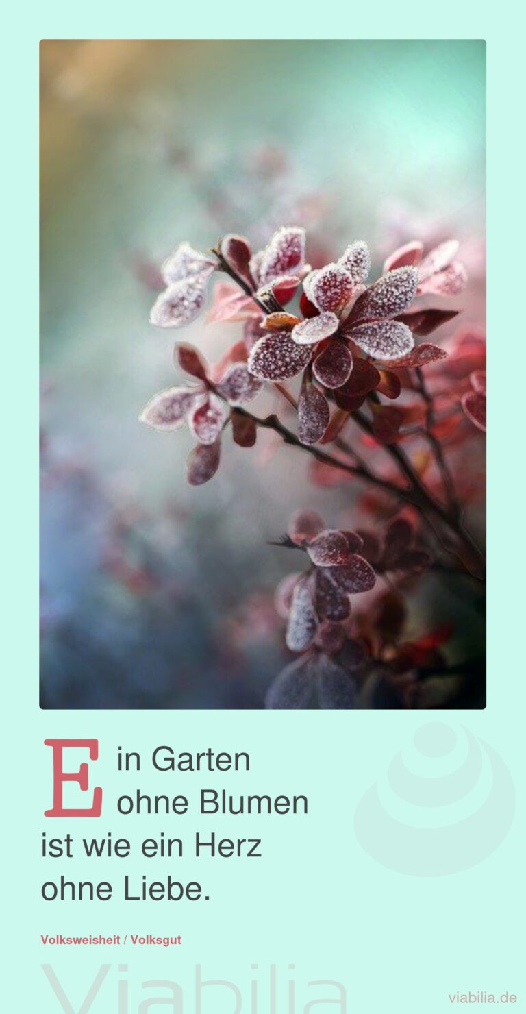 Schöne Gartensprüche mit Bildern, kostenlos zum Teilen