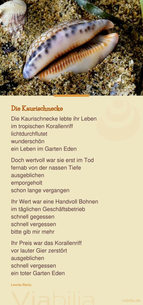 Schöne Sprüche über Geld und Reichtum