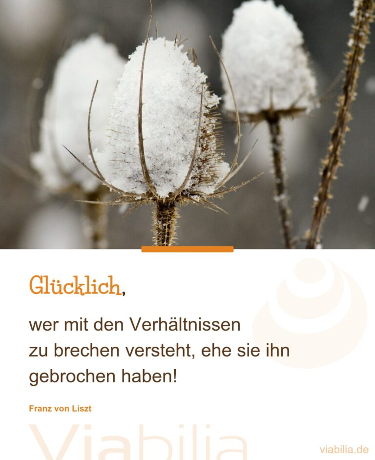 Motivierende Sprüche und Wünsche zum Thema Neuanfang