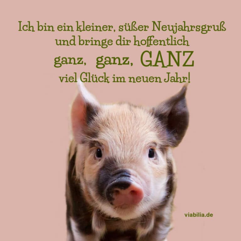 Neujahrswünsche mit Bildern für WhatsApp
