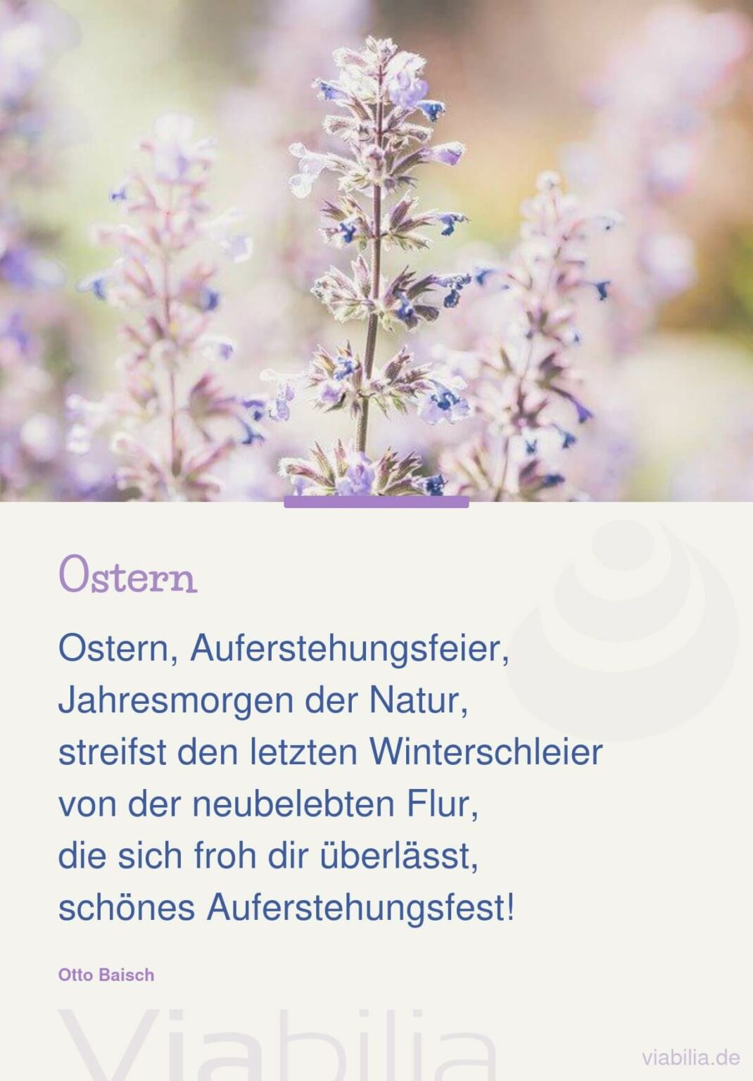 Kurze Ostersprüche zum Schmökern