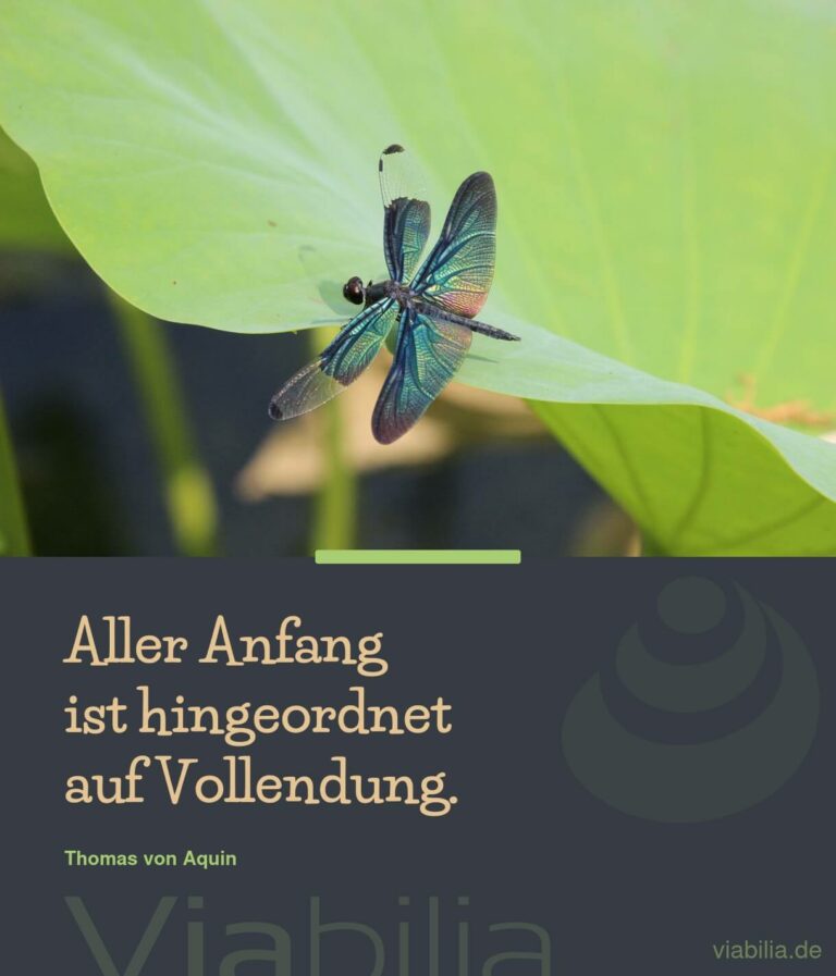 Motivierende Sprüche und Wünsche zum Thema Neuanfang
