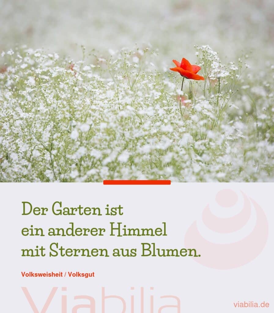 Schöne Gartensprüche mit Bildern, kostenlos zum Teilen