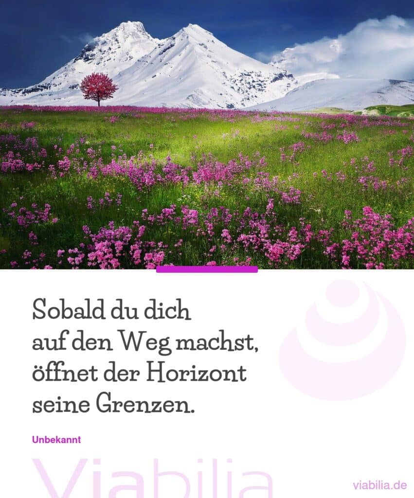 Der eigene Lebensweg über 20 Sprüche und Gedichte mit Bild