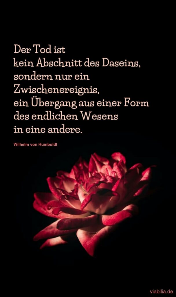 Liebevolle Trauersprüche über 100 mitfühlende Spruchbilder