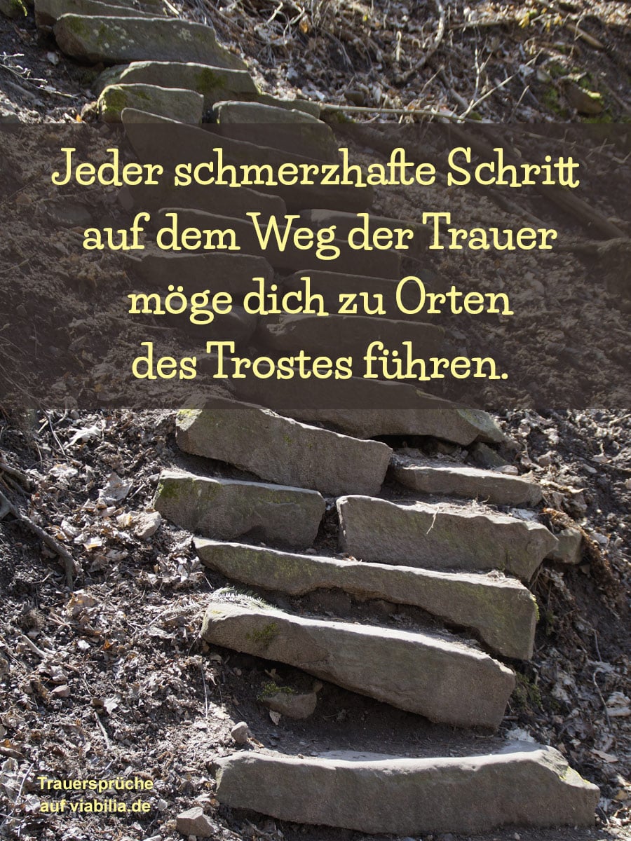 Liebevolle Trauersprüche über 100 mitfühlende Spruchbilder