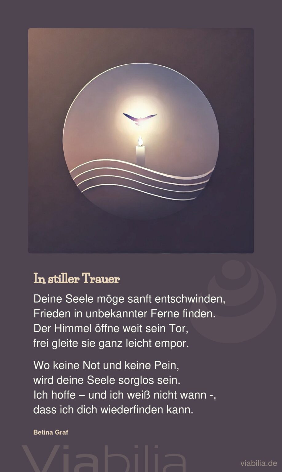 Liebevolle Trauersprüche über 100 mitfühlende Spruchbilder